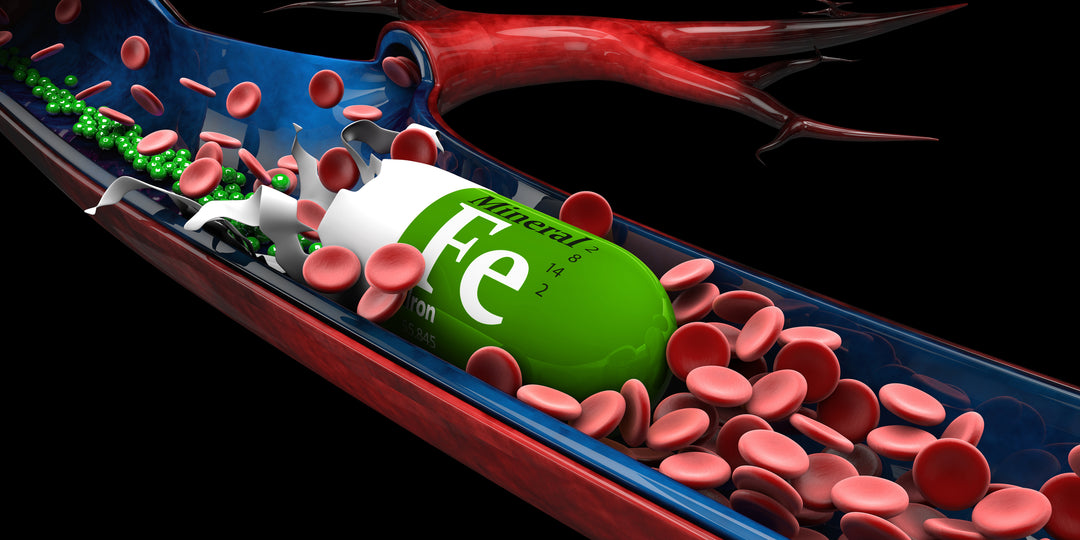 Iron to Boost Energy, Immunity & Brain Function, But… – HealthAid®