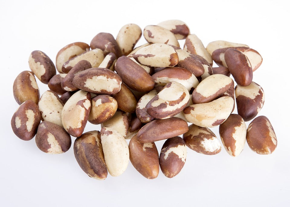 Health Benefits of Selenium – HealthAid®