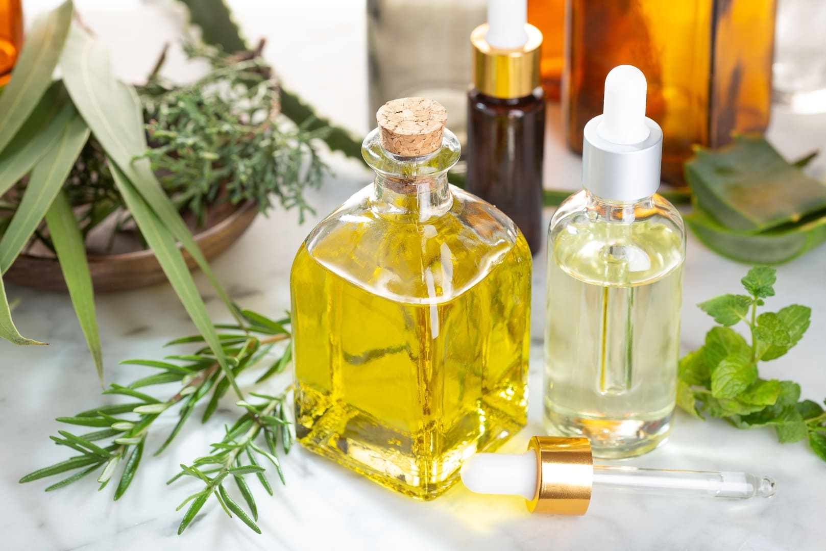 Single Herbal Liquids for Health | HealthAid UK – HealthAid®